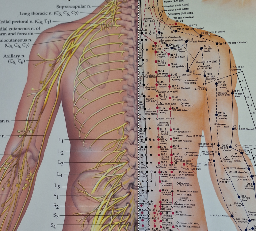 10 Powerful Acupuncture Points - Kelowna, BC